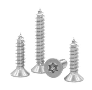 Torx Socket Locking Screw | KENENG