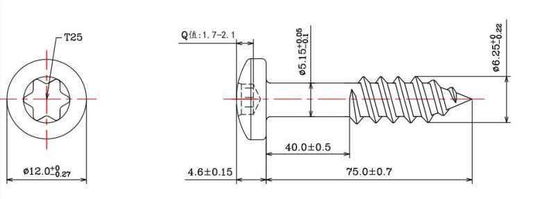 Custom Torx Head Taping Screw - KENENG