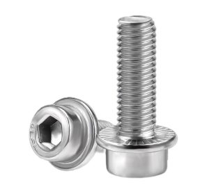Hex Socket Cap Head Flange Screw - KENENG